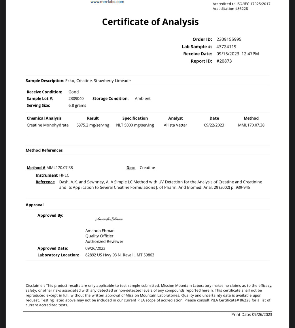 ekkovision