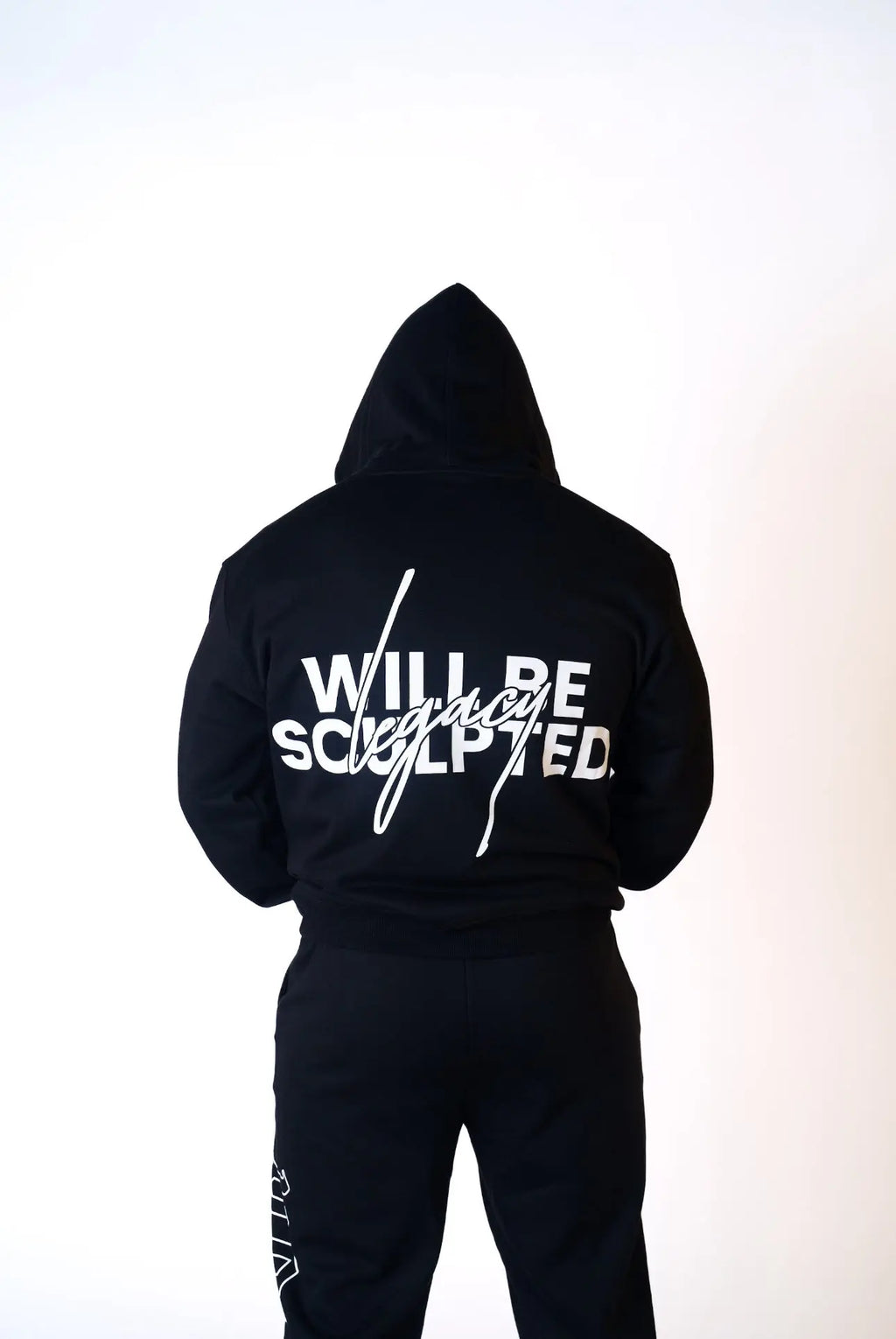 Ekkovision Hoodie V3