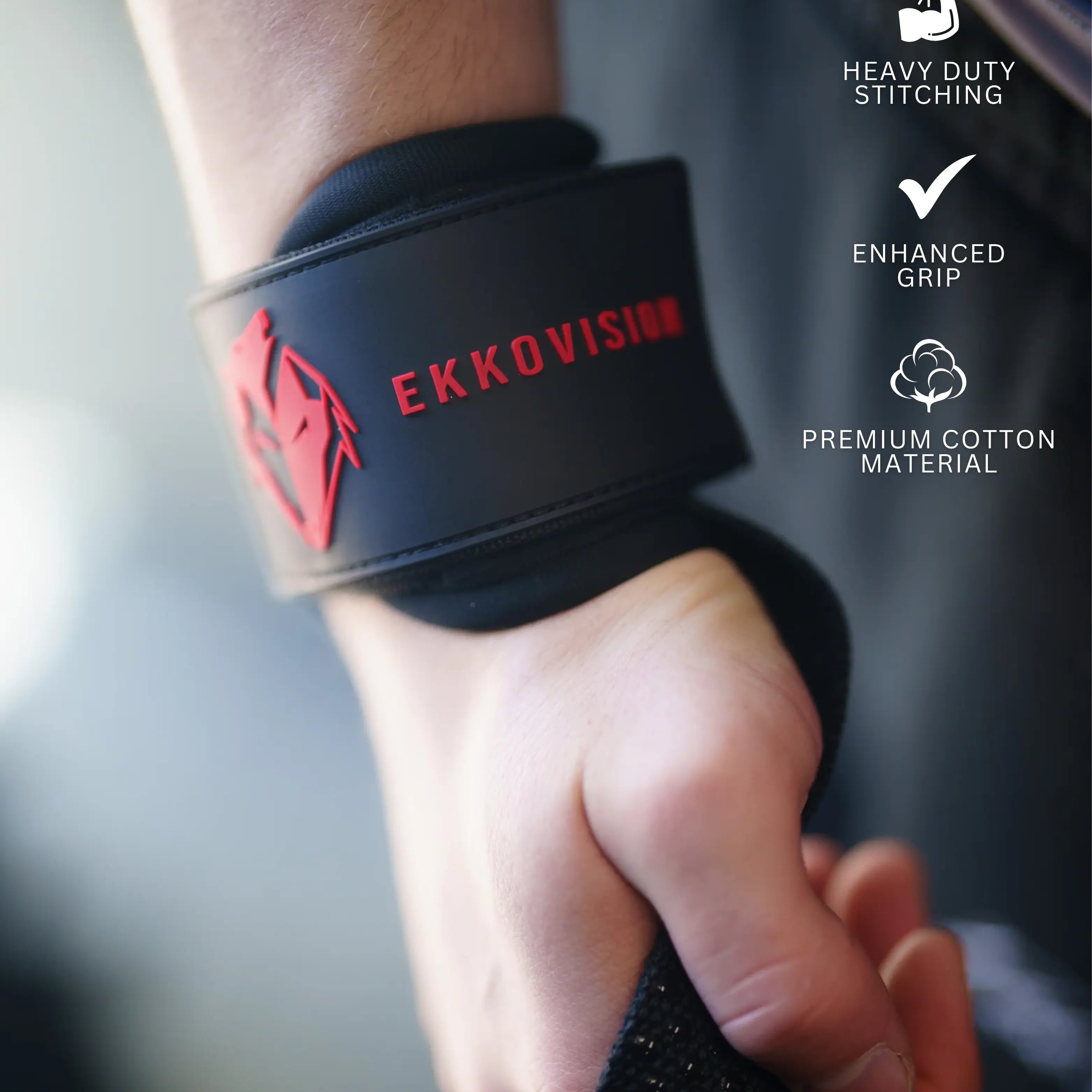 ACCESSORY - ekkovision